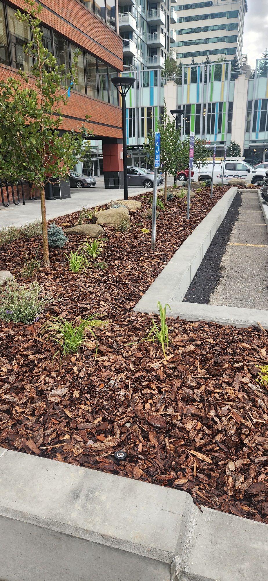 That's A Wrap! - LECM