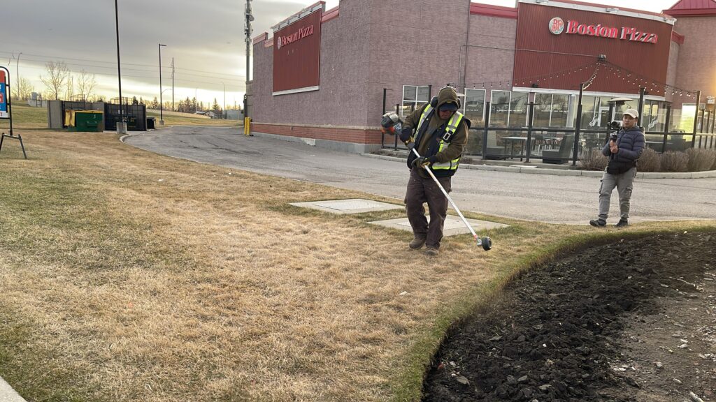 Training in Action | LECM