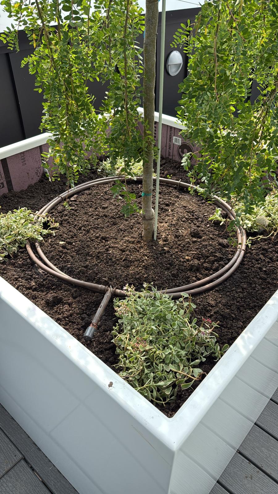 Smart Irrigation, Elevated. | LECM